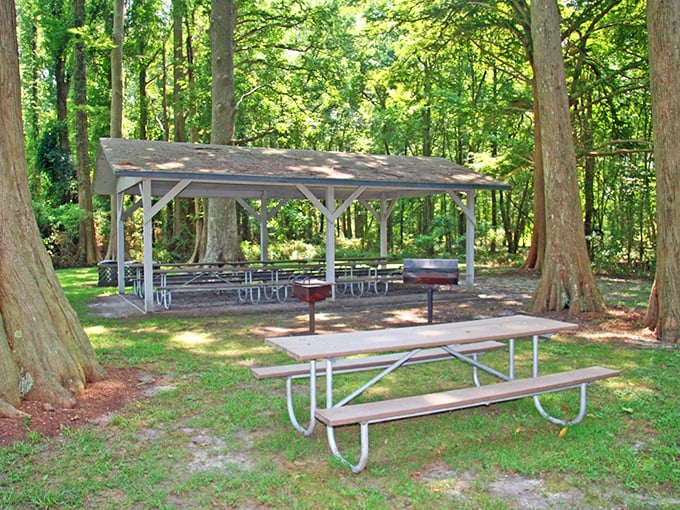 This shaded pavilion offers respite from summer heat and the perfect spot for picnics. Those massive trees have probably witnessed countless family gatherings and dropped sandwiches.