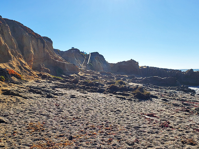 Sandy paths wind through coastal bluffs, promising adventure. This stairway to beach heaven requires a bit of effort&mdash;nature's way of making sure you earn that perfect view.