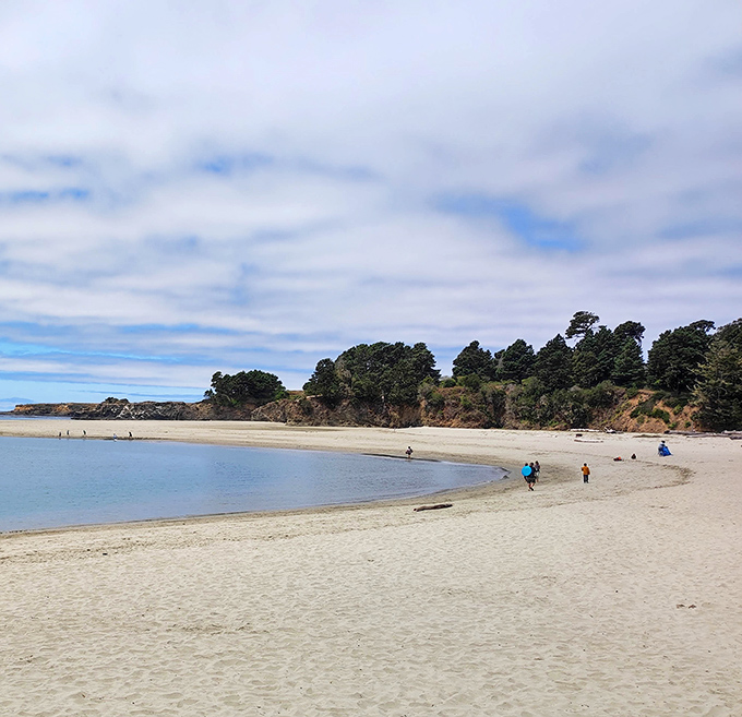 Big River Beach stretches like nature's welcome mat, where the river meets the sea and visitors find that rare combination—a California beach you can actually enjoy without crowds.