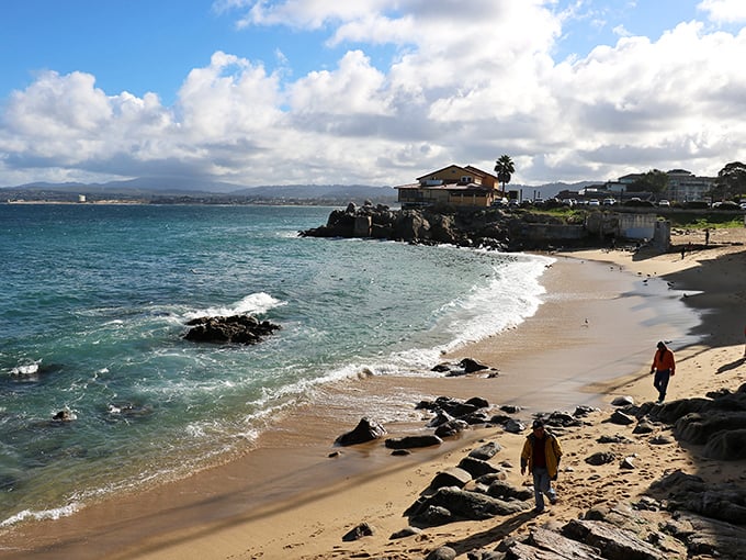 Nature's perfect postcard: Monterey's beaches offer that rare combination of dramatic coastline and gentle shores where everyday worries dissolve with each wave.
