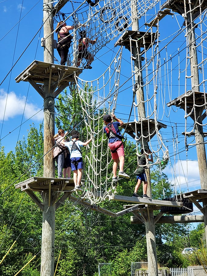 For those who prefer their vacation with a side of adrenaline, this aerial adventure course provides both thrills and spectacular views of Maine's landscape.