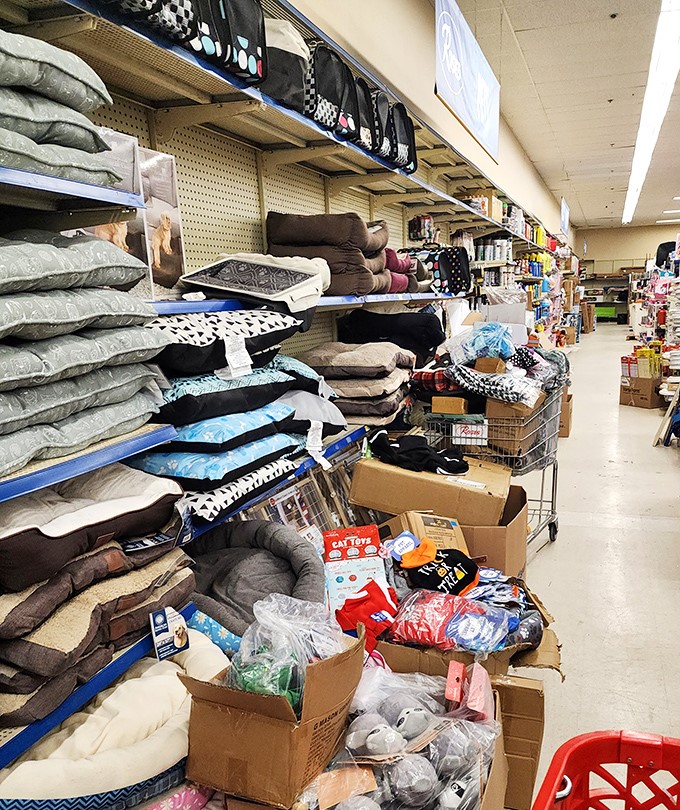 Pet beds and pillows galore! Because four-legged family members deserve comfort too, especially at these can't-believe-your-eyes prices.