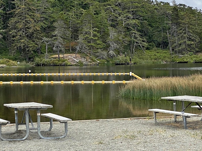 Lakeside picnic tables with a view that outshines any five-star restaurant patio. BYO sandwich, nature provides the ambiance.