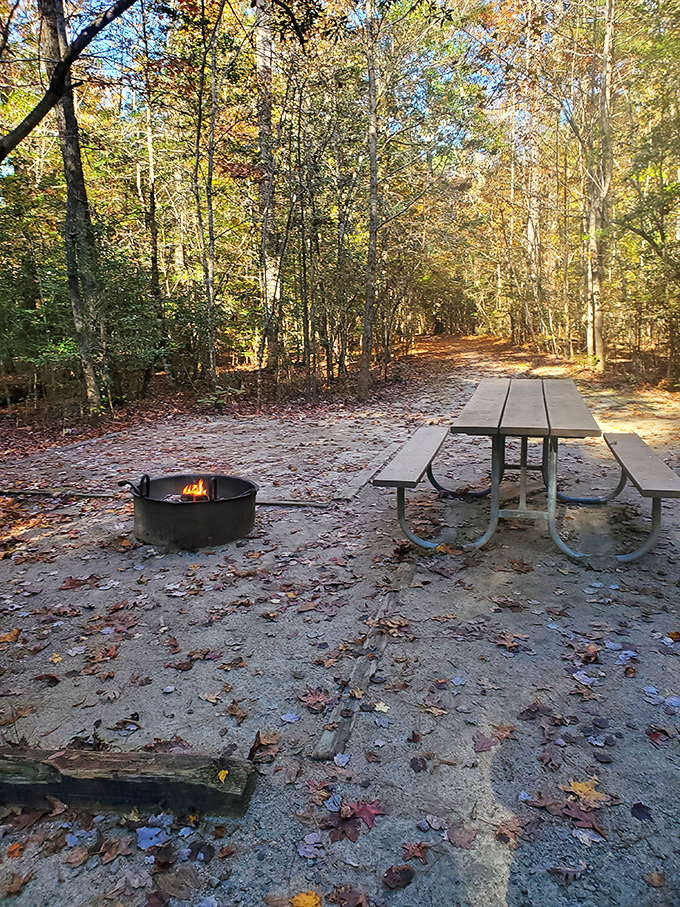 Fall picnic perfection &ndash; where crackling fire meets crisp air and falling leaves provide nature's most satisfying soundtrack.