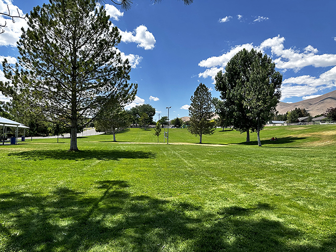 Pioneer Park's verdant expanse offers a surprising contrast to desert expectations, proving that Winnemucca knows how to create green spaces worth enjoying. 