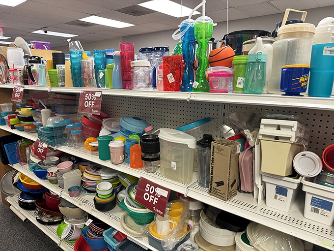 Plastic containers in every hue promise to solve your organizational chaos, or at least hide it behind colorful lids.