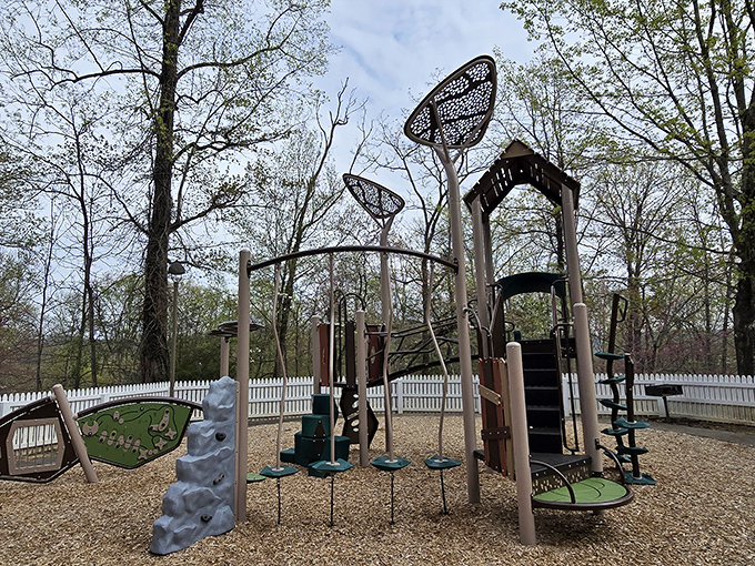 A playground where kids can pretend to be forest creatures while parents pretend they don't need a nap afterward. Nature-inspired fun for all.