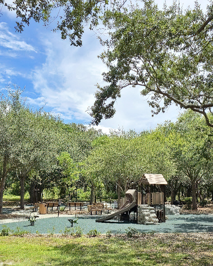 Blue skies frame this natural playground where kids can burn energy while parents enjoy the shade. Technology-free entertainment at its finest.