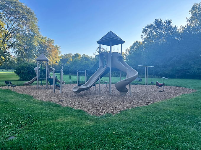 Childhood joy comes standard at this playground where kids burn energy while parents secretly wish the slides were adult-sized too.