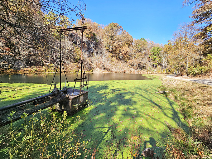 This algae-kissed pond might look like it's wearing a green velvet jacket, but it's actually a thriving ecosystem disguised as a painter's palette.