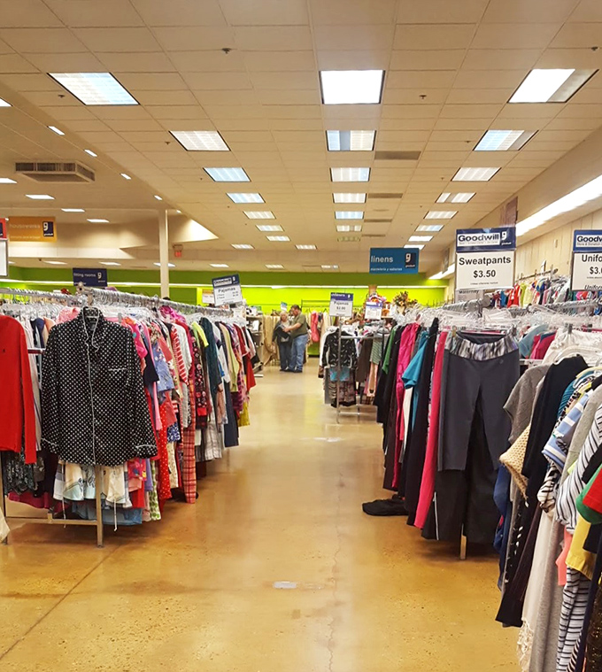 Light bulbs gleaming with potential, ready to illuminate someone's home without illuminating their credit card debt simultaneously.