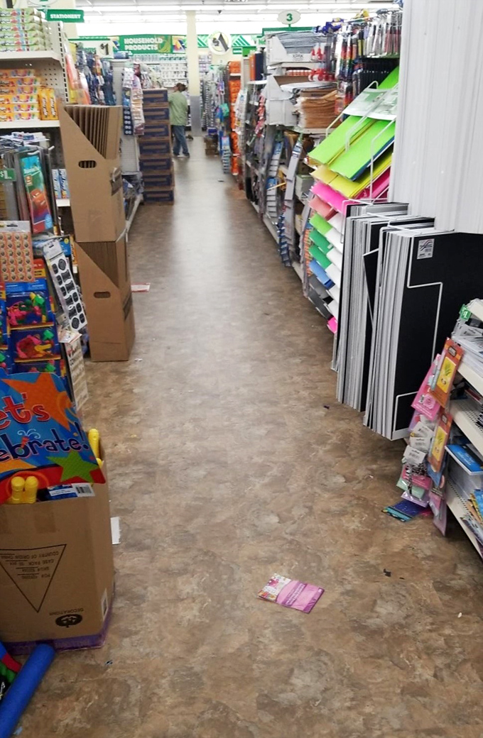 Aisles stretching toward budget-shopping nirvana, each shelf a new opportunity to discover something you never knew you desperately needed.