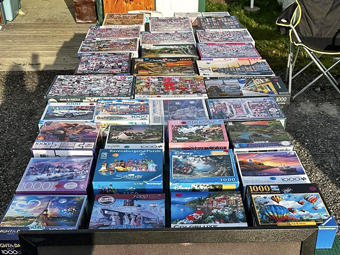 Puzzles promising hours of kitchen table frustration and triumph. Family bonding or solo meditation, your choice!