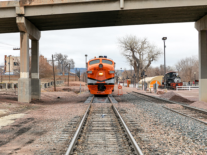 The train approaches from beneath the highway overpass, a perfect metaphor for how this journey slows you down to a more civilized pace.