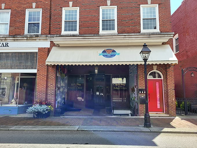 Red Dog On Main's inviting entrance practically whispers, "The local beer you want is waiting just inside."