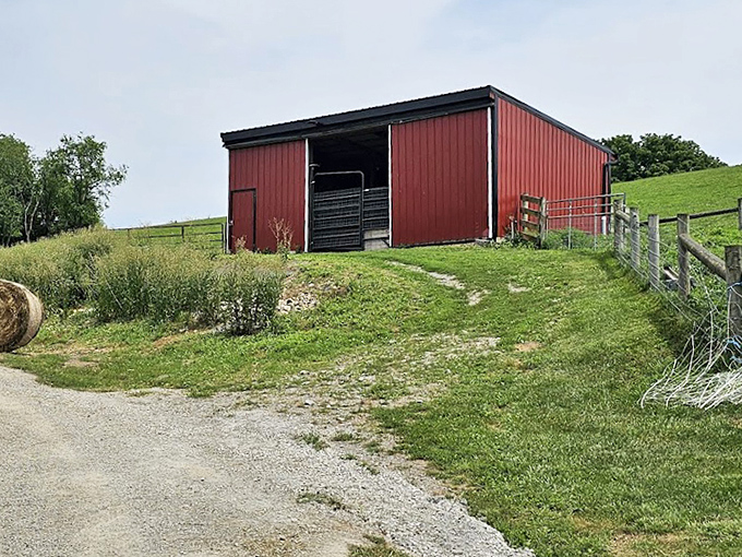 A humble red outbuilding that's never worried about property values or curb appeal, yet somehow nails both.