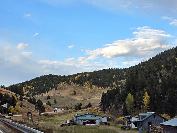 Rural Colorado valley life: where "rush hour" means the elk are crossing and you'll just have to wait your turn.
