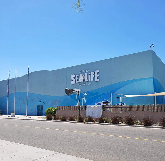 SEA LIFE Arizona Aquarium brings ocean wonders to the desert, proving that in Tempe, you can shop for shoes and visit sharks in the same afternoon.