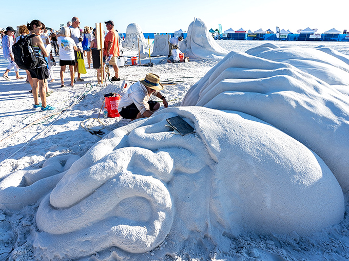Sand sculptors transform Siesta's famous quartz sand into ephemeral masterpieces. Mother Nature provides the perfect medium; humans provide the imagination.