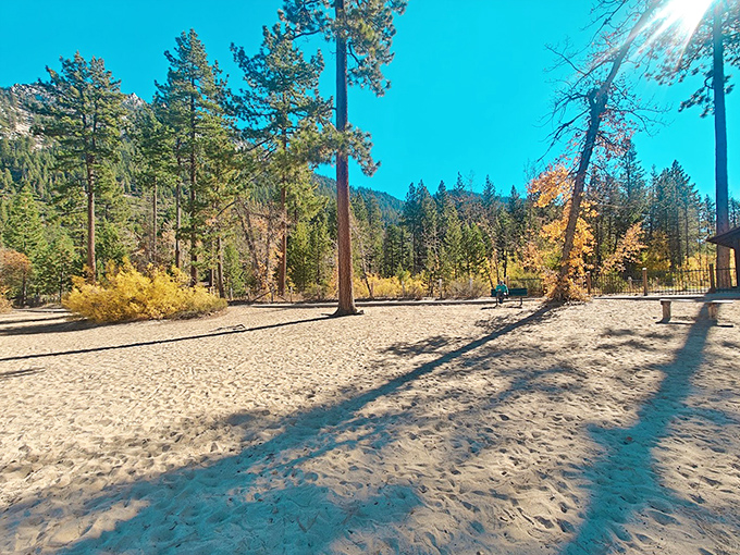 Golden sand meets towering pines. Your toes in the sand, your eyes on the mountains&mdash;the perfect Nevada contradiction.