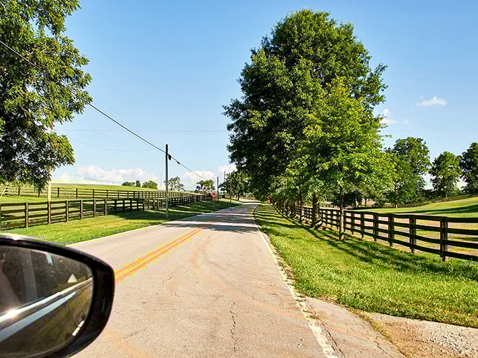 The road stretches ahead like a promise, with fences standing guard over some of the most valuable grazing land in America.