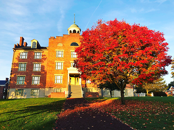 Fall's fiery maple perfectly complements this stately brick building, nature's way of adding dramatic flair to an already impressive historical landmark.