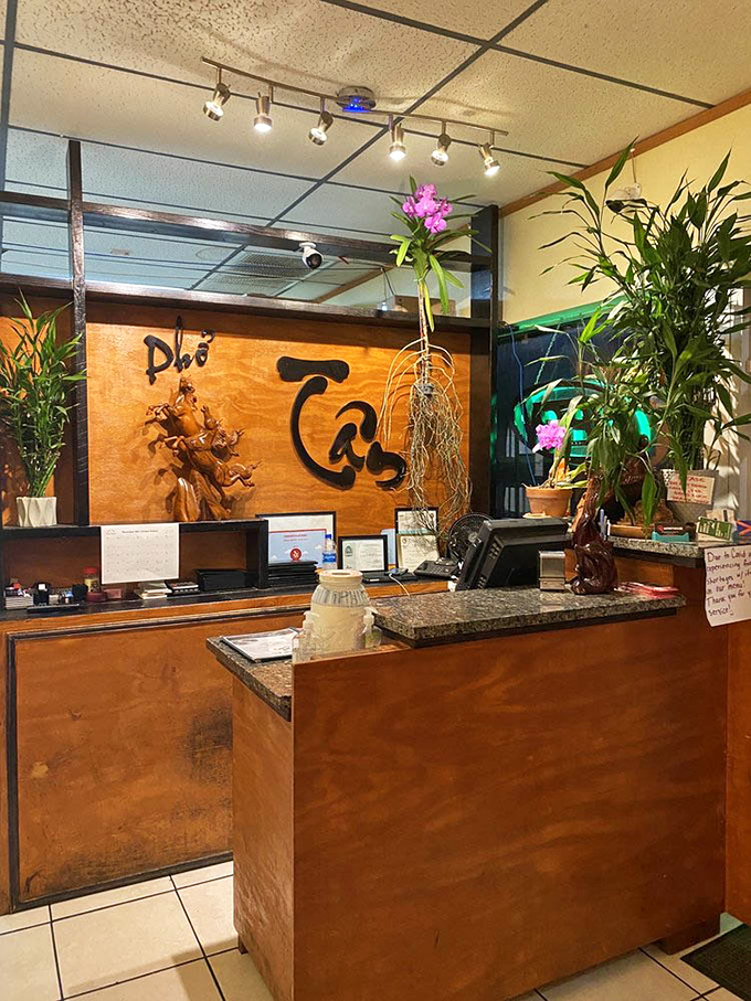 The wooden reception counter adorned with plants and carved art. A touch of Vietnam welcomes you at the entrance.