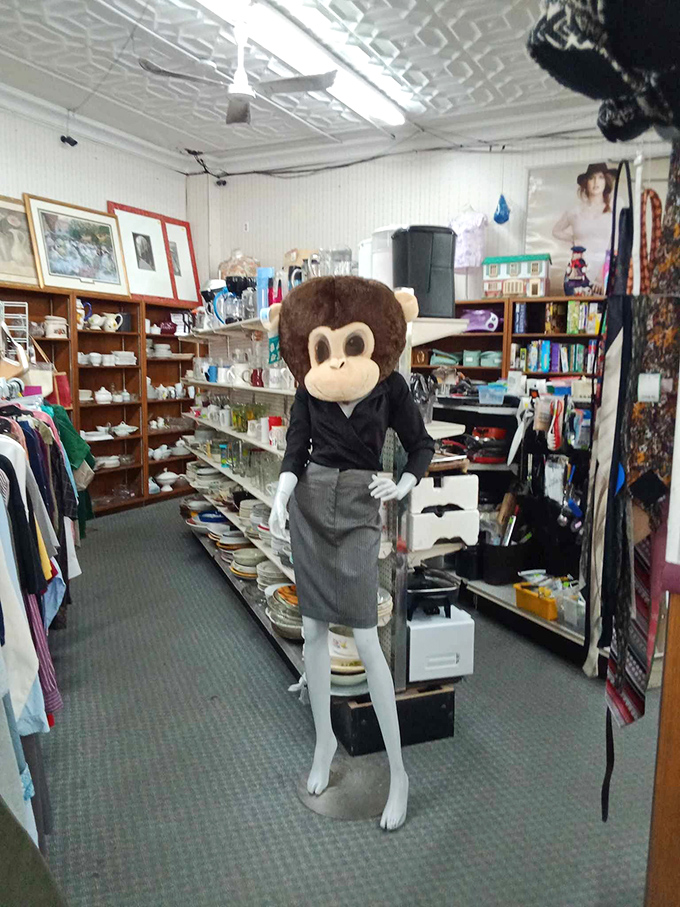 The mannequin supervisor keeps watch over an eclectic department. Even the monkey seems impressed by the organization.