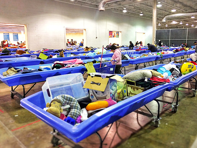 Row after row of possibility. Each blue bin contains someone's past and someone else's future, all for pennies on the dollar.