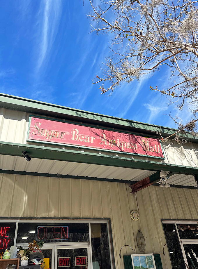 The faded red sign against Florida's impossibly blue sky announces you've found the motherlode&mdash;Sugar Bear Antiques in all its glory.