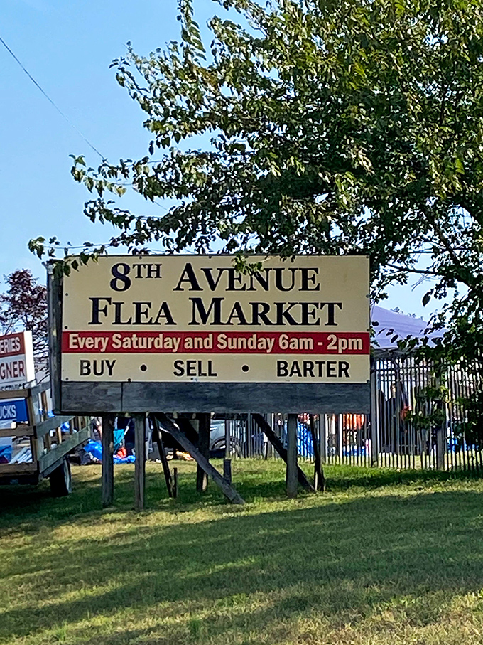 "Every Saturday and Sunday 6am-2pm"&mdash;eight magical hours twice weekly when ordinary parking lots transform into bazaars of possibility.