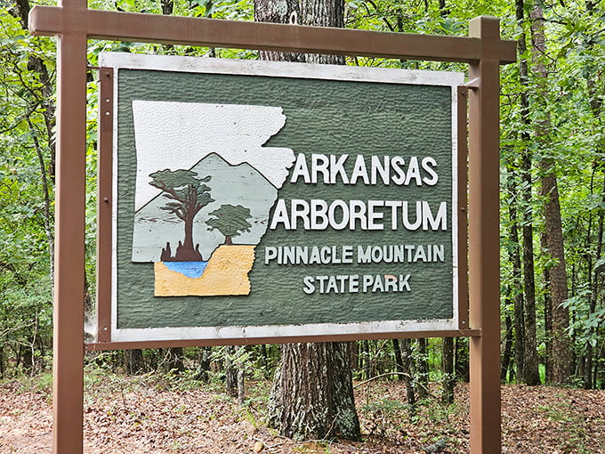 The Arkansas Arboretum sign &ndash; your invitation to meet the local trees on a first-name basis.