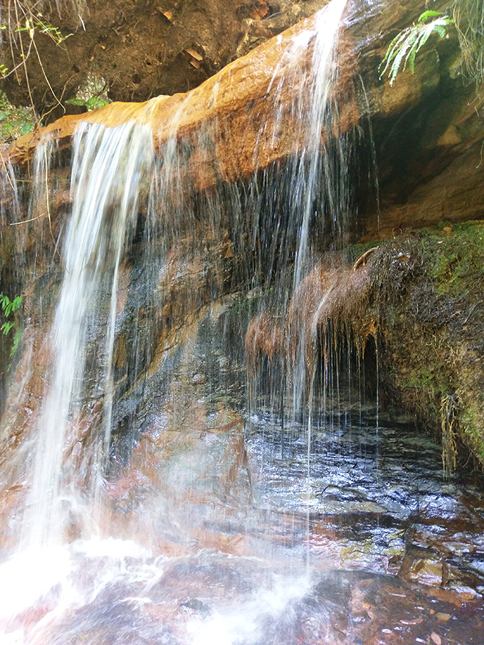 Silver Falls cascades with hypnotic grace, creating a natural shower curtain that's been performing the same show for thousands of years.