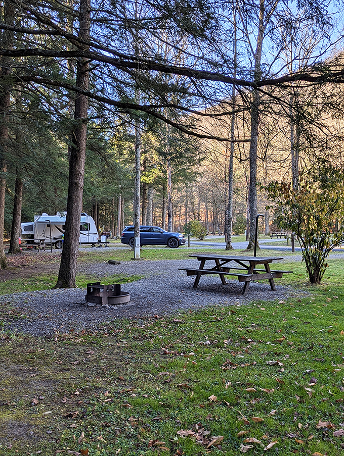 Sizerville State Park's camping area invites you to trade your digital connections for the more satisfying ones&mdash;with nature and each other.