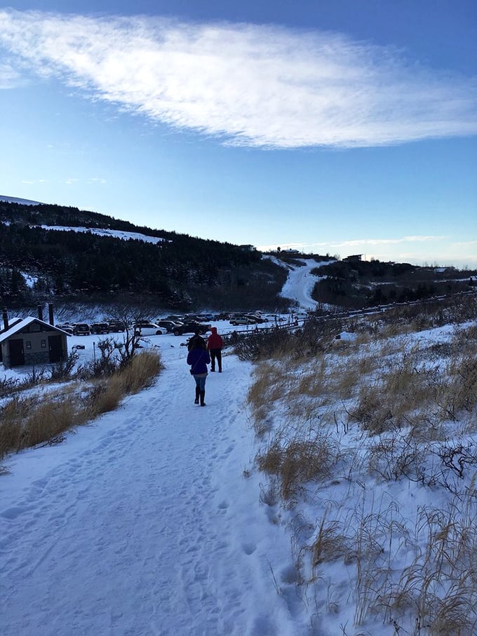 Winter transforms familiar paths into snow-covered adventures waiting to happen. The kind of trail that makes you grateful for wool socks and thermos technology.