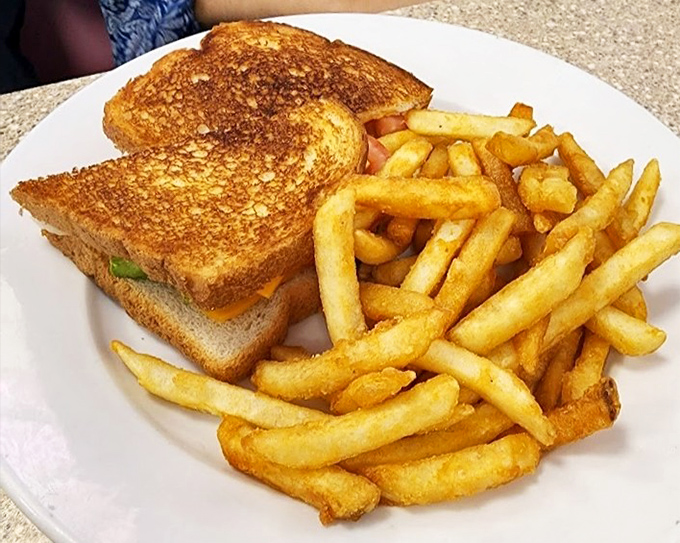 A grilled cheese sandwich that would make your childhood self high-five your adult self. Those golden-brown edges deserve their own fan club.