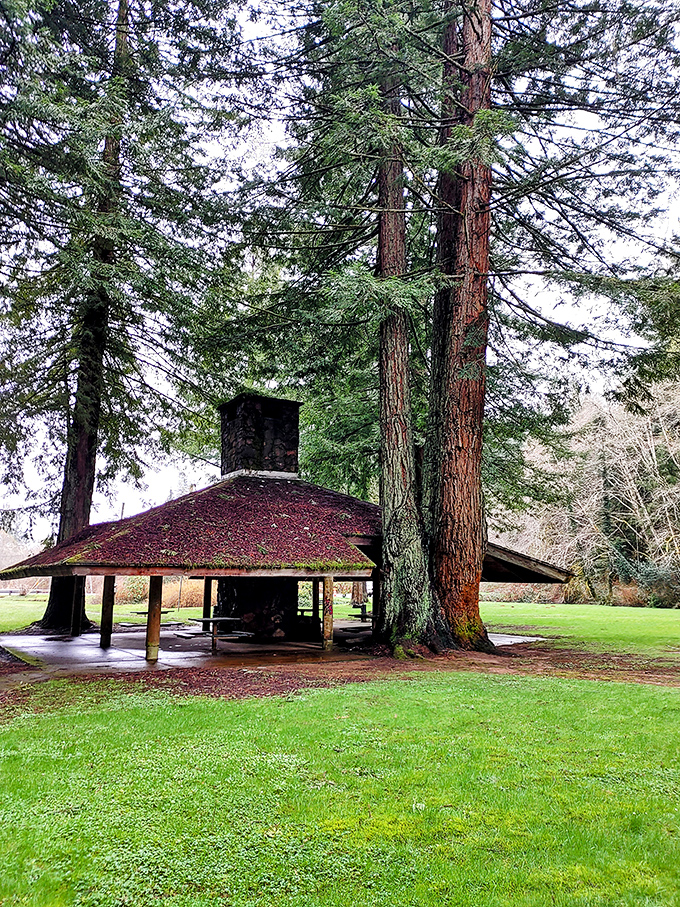 Stewart Park provides peaceful shelter and towering trees, the kind of natural setting that makes you remember why Washington's nicknamed Evergreen.