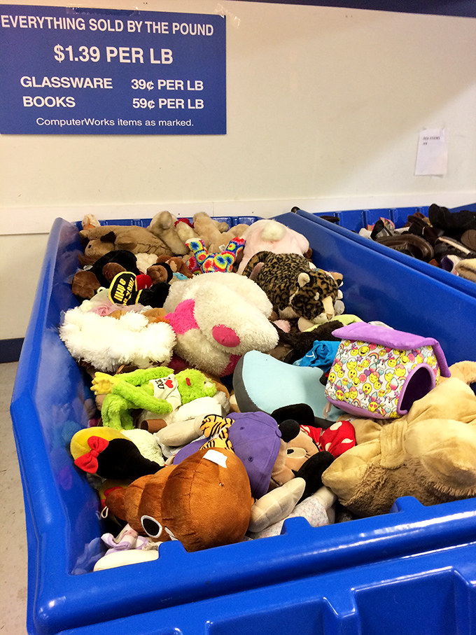 Stuffed animal adoption center where plush companions wait for new homes&mdash;priced by the pound instead of the cuddle factor.