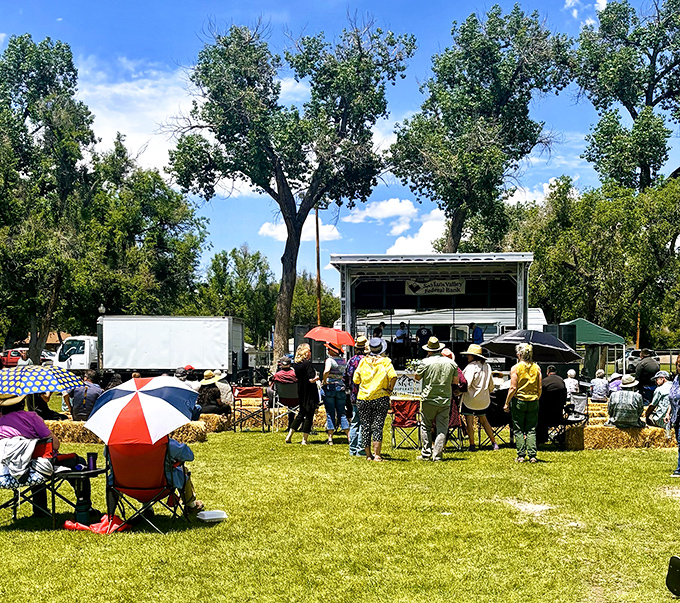 SummerFest on the Rio brings the community together under cottonwood trees. Live music, local food, and lawn chairs &ndash; summer perfection at 7,500 feet.
