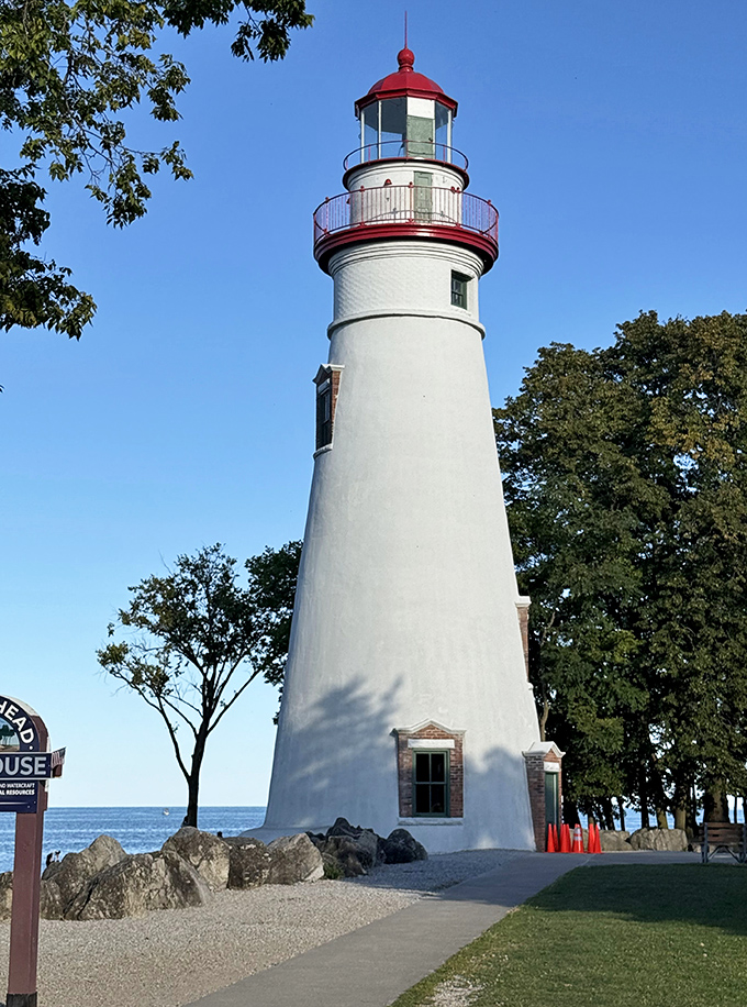 Against a flawless blue sky, the lighthouse's crisp white tower and cherry-red cap create an iconic silhouette that's pure Americana.