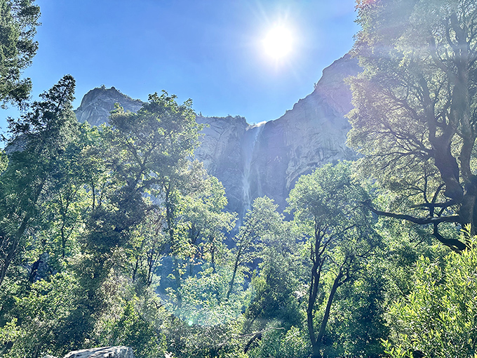 Dappled light and distant thunder: Sunbeams filter through the forest canopy, creating spotlights for Bridalveil's distant cascade.