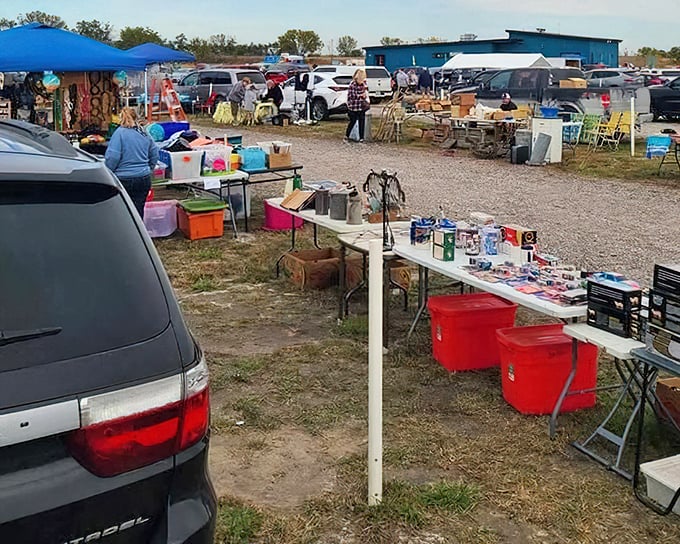 The Quasar Bazaar transforms ordinary movie nights into community events, with vendors offering treasures beyond the typical concession fare.