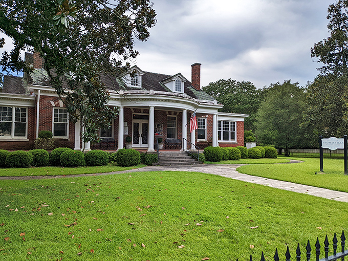 The Big Oak spreads its massive limbs like a grandmother's arms at a family reunion&mdash;330 years of offering shade and silent wisdom.