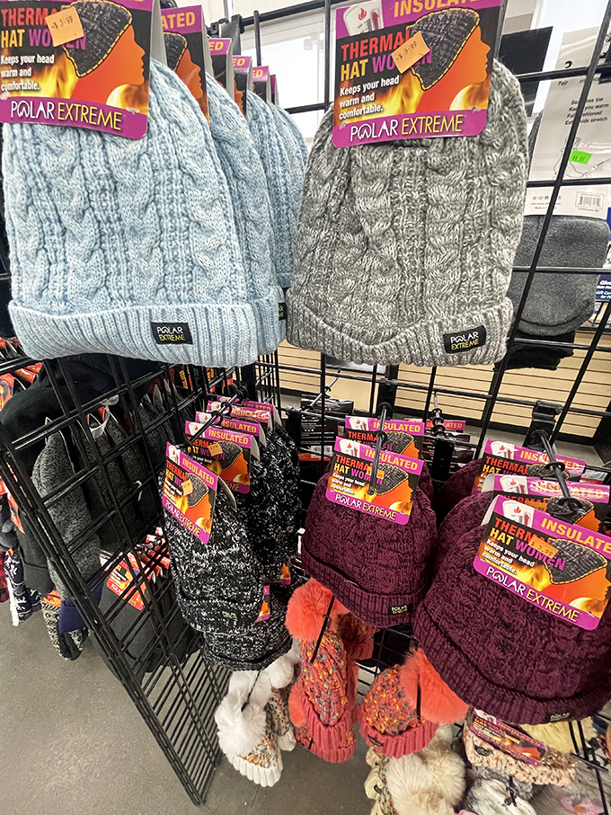 Winter headwear that combines practicality with a touch of "I meant to look like this." Colorado's unofficial uniform from November through April.