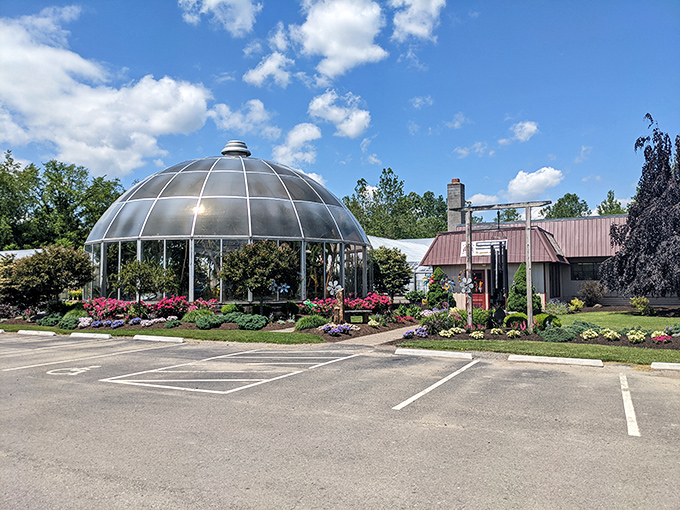 This glass dome greenhouse at Tioga Gardens isn't just growing plants&mdash;it's cultivating wonder under a perfect circle of sky.