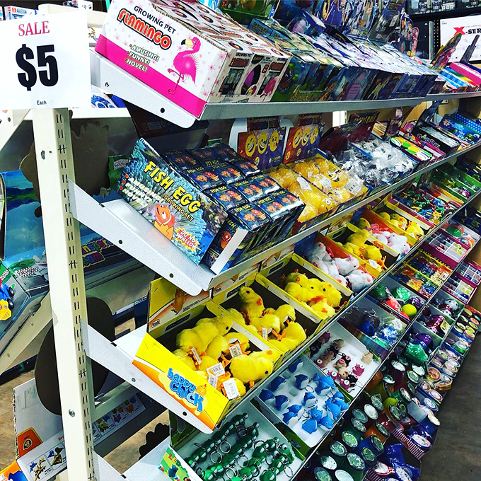 Novelty toys and growing pets at just $5 each &ndash; proof that happiness can still be affordable, even in an age of $7 coffee.