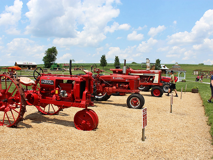 These vintage tractors tell stories of American farming history, back when horsepower actually involved real horses.
