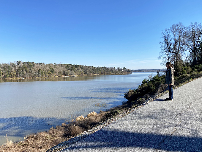 The Yoholo Micco Trail offers contemplative moments where land meets water, nature's version of a meditation app but without subscription fees.