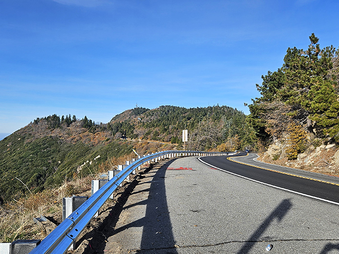 Guardrails, yellow lines, and infinite possibilities. This ribbon of asphalt delivers adventure with every turn.