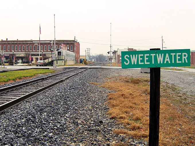 The green Sweetwater sign stands as a humble welcome mat to a town that delivers far more charm than its modest marker suggests.